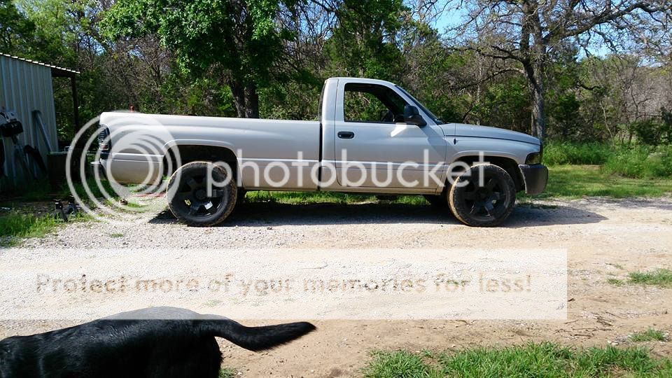 "Financial Mistake": A mild street build | Cummins Diesel Forum