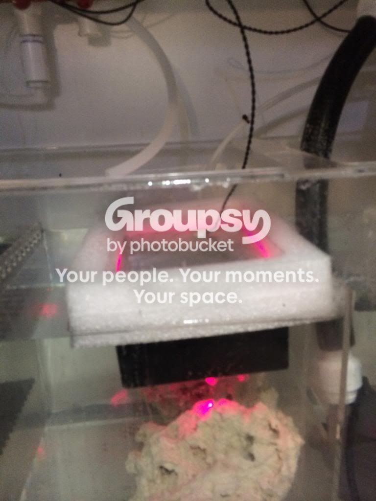 Diy floating algae scrubber - Reef Central Online Community