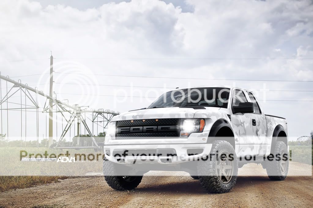 Today's win award goes to WB for this one…Camo Raptor on Bronze ADV.1 ...