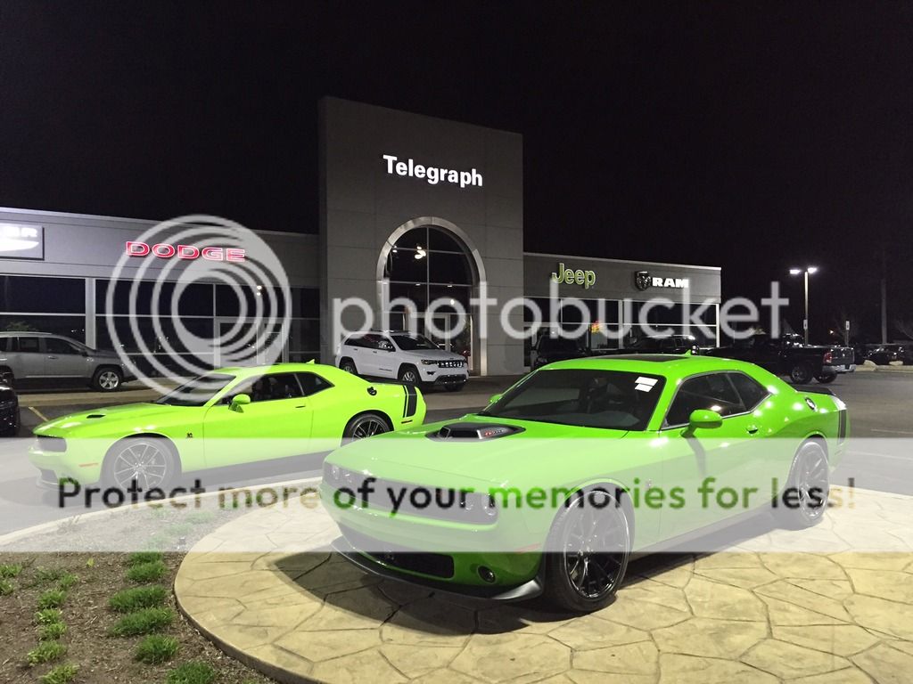 Sublime Green vs Green Go | Dodge Challenger Forum