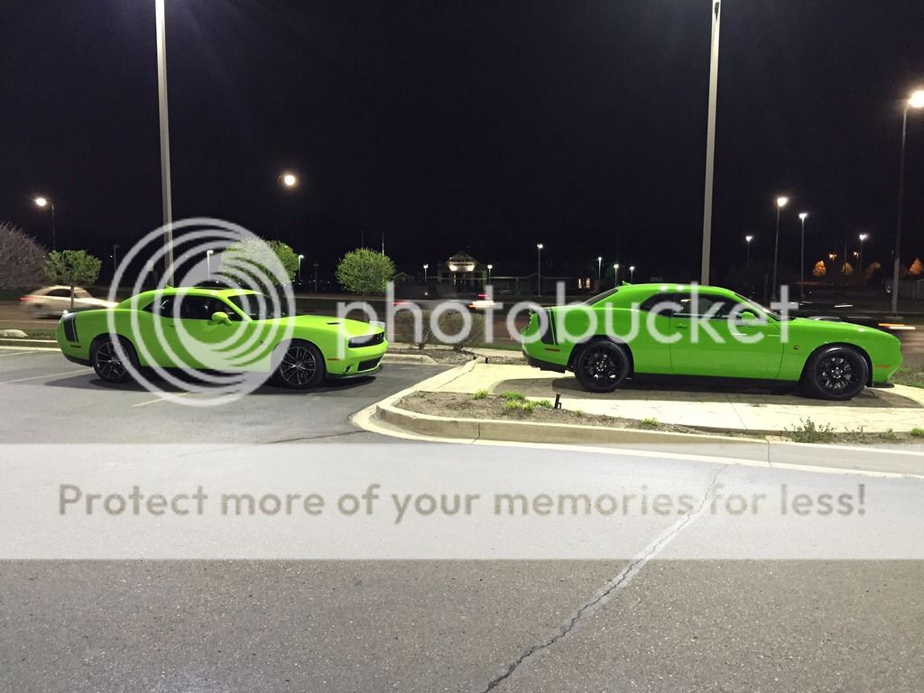 Sublime Green vs Green Go | Dodge Challenger Forum