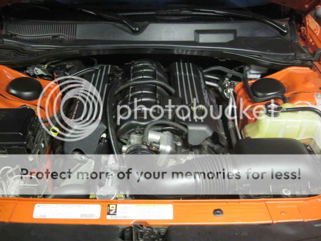 392 Engine Half Covers On R/T | Page 10 | Dodge Challenger Forum